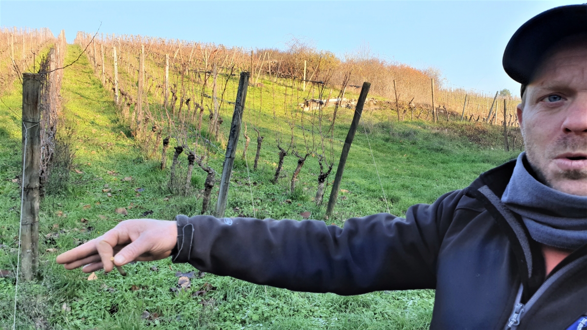 Nicolas Morin | Pierre Ache Wijnen